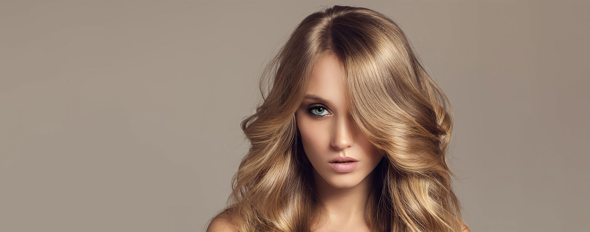Hedgehog Hairdressers – My site